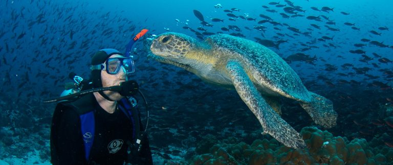 Galapagos Dive Reviews | Galapagos Diving Sites