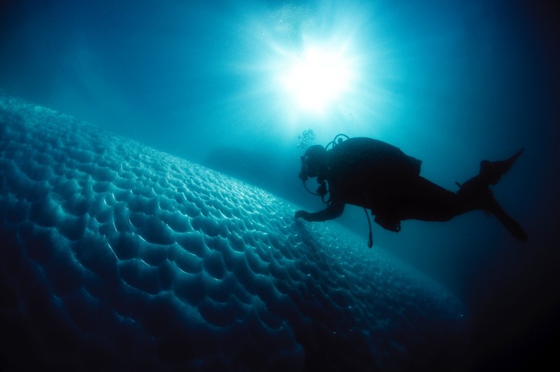 Greenland dive trip! | Dive Reviews & Reports