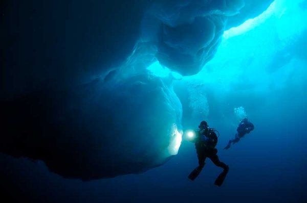 Greenland Dive Reviews | Greenland Diving Sites