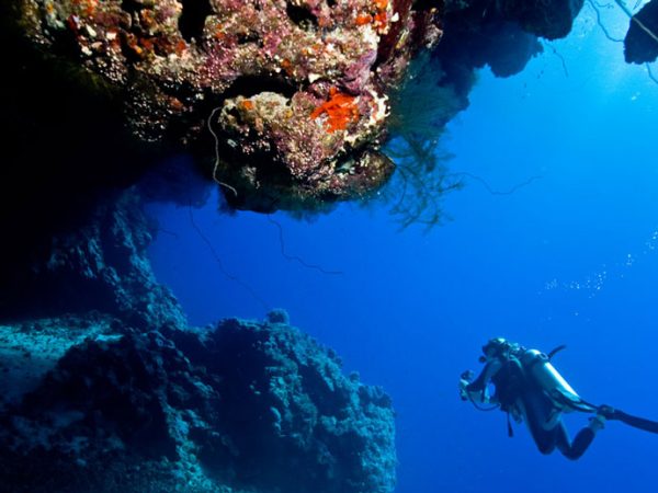 Dive Djibouti this April! | Dive Reviews & Reports