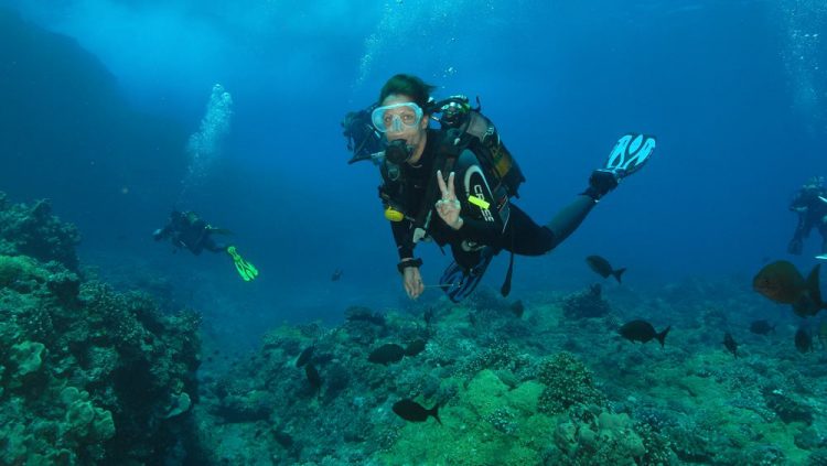 Travel Tips Dive Reviews | Travel Tips Diving Sites