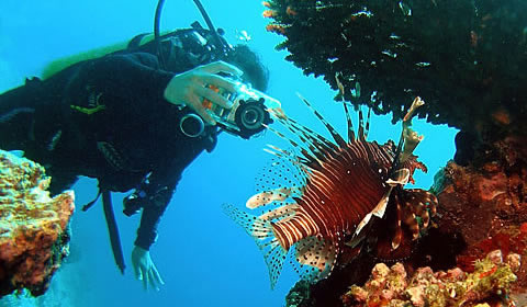 Pemba Island Diving Holidays | Pemba Island Dive Holiday